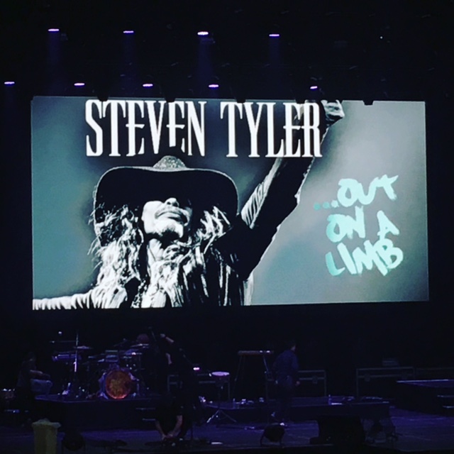 I MAKE MY OWN SUNSHINE/ STEVEN TYLER | 毎日からりと。